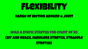 A Fun and Active Game to Teach Health-Related Fitness Concepts