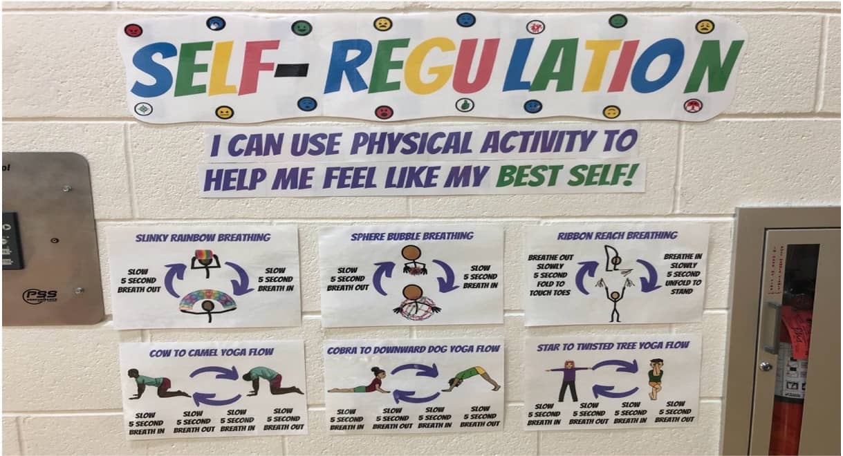 Teaching Self-Awareness and Self-Management Strategies in Elementary P.E.